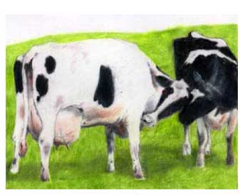 Please, Not Now! / by Godofredo Stuart / Publications / StuartXchange