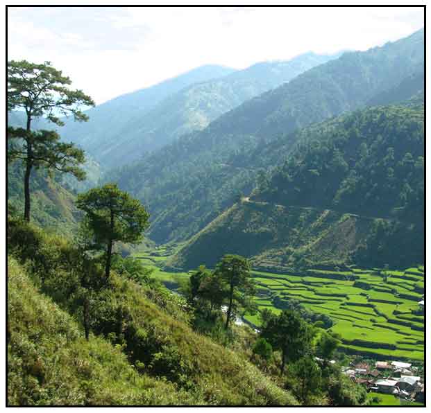 A Trip to Sagada / Rice Terraces / StuartXchange